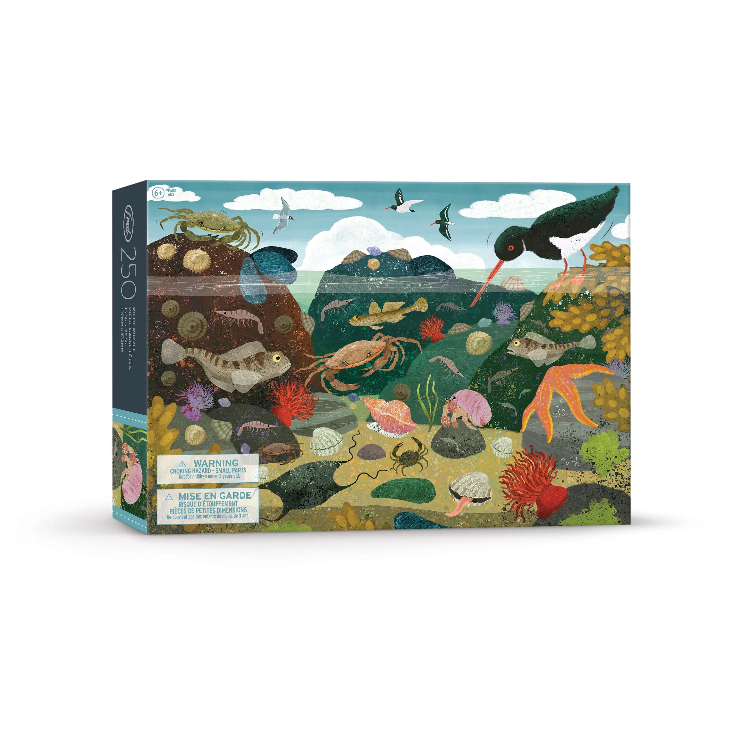 Rock Pool - Puzzle 250 PC - Gavin Scott | PELICAN & PIPER LLC